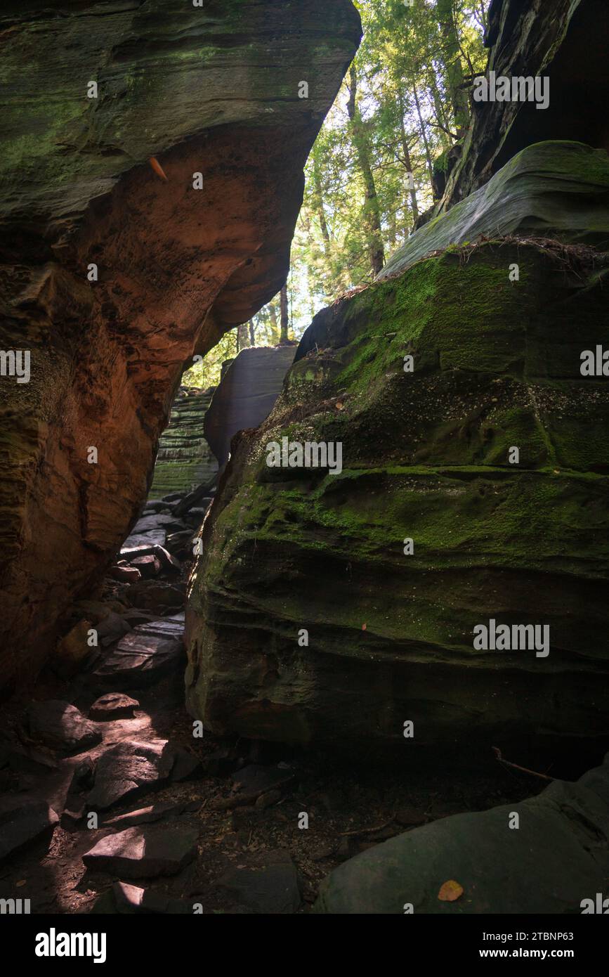 The Ledges Trail at Cuyahoga Valley National Park in Ohio, USA Stock ...