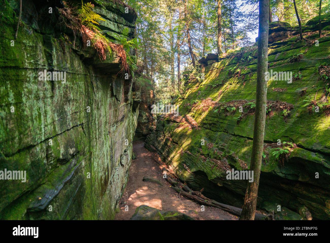 The Ledges Trail at Cuyahoga Valley National Park in Ohio, USA Stock ...