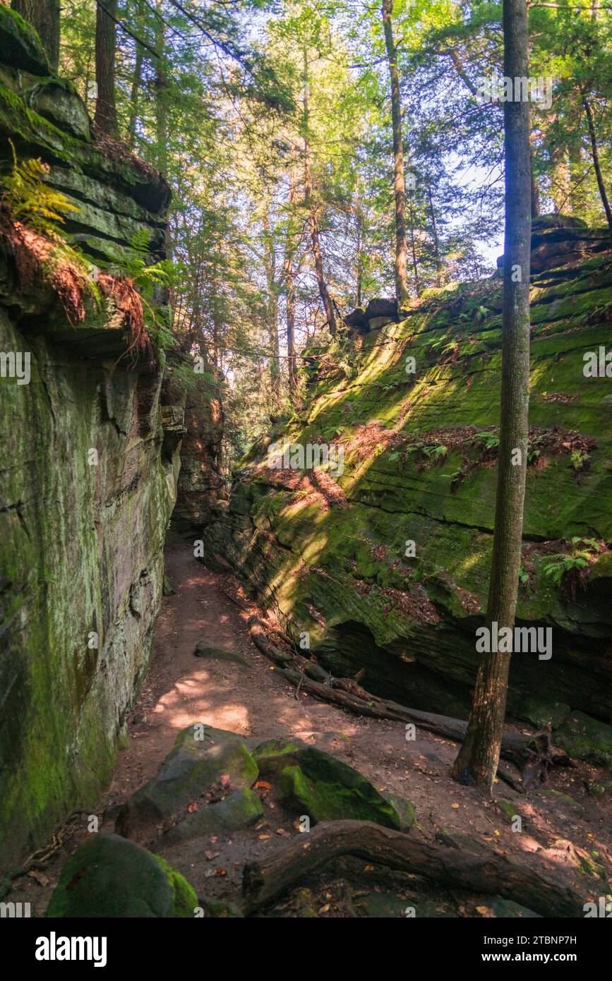 The Ledges Trail at Cuyahoga Valley National Park in Ohio, USA Stock ...