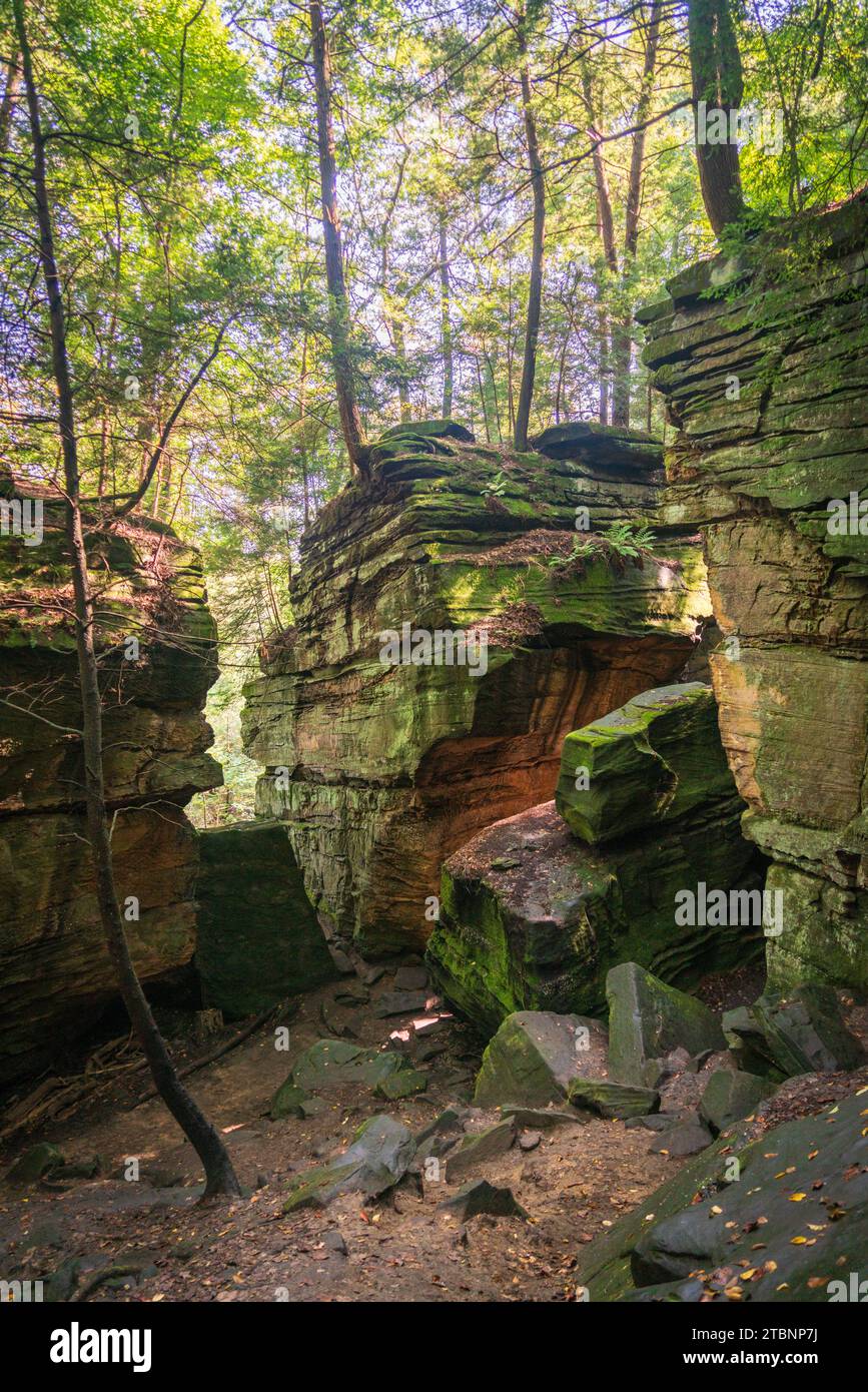 The Ledges Trail at Cuyahoga Valley National Park in Ohio, USA Stock ...