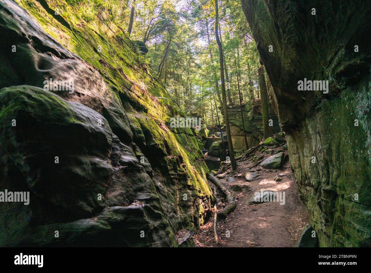 The Ledges Trail at Cuyahoga Valley National Park in Ohio, USA Stock ...