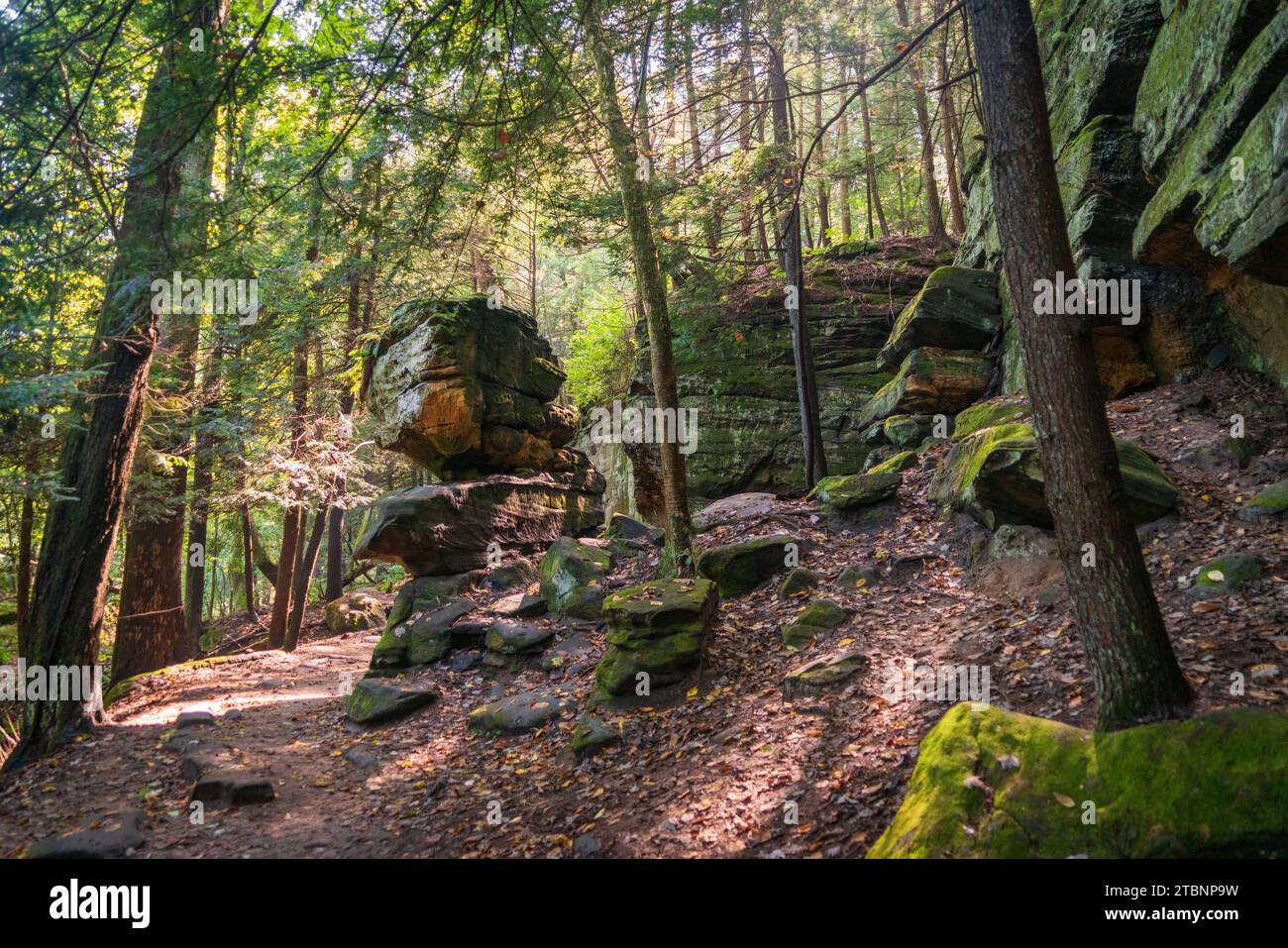 The Ledges Trail at Cuyahoga Valley National Park in Ohio, USA Stock ...