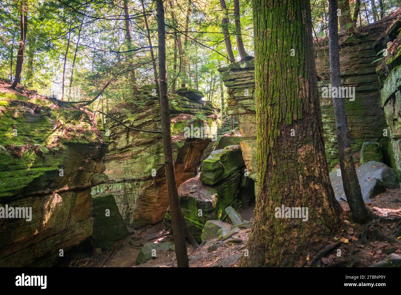The Ledges Trail at Cuyahoga Valley National Park in Ohio, USA Stock ...