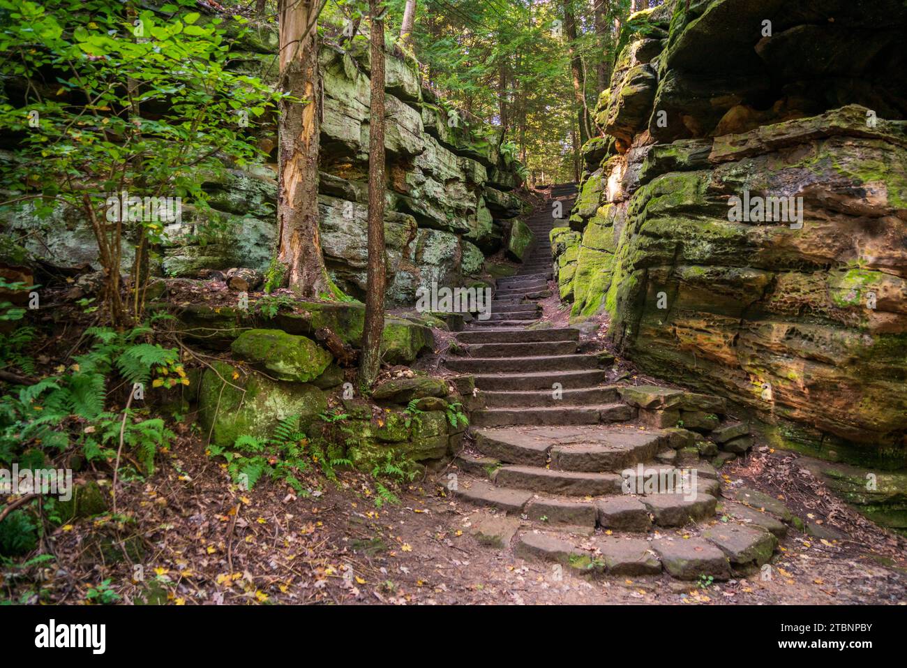 Staircase at the Ledges Trail at Cuyahoga Valley National Park in Ohio ...