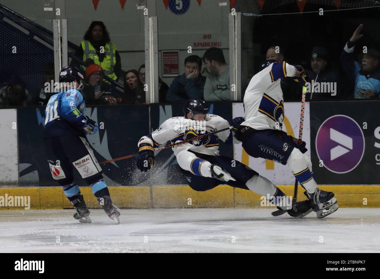 NIHL ice hockey play-off semi-final action between Sheffield Steeldogs ...