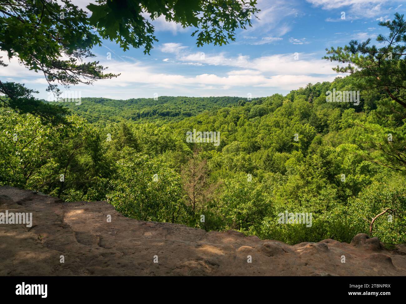 The Conkles Hollow State Nature Preserve in Ohio Stock Photo - Alamy