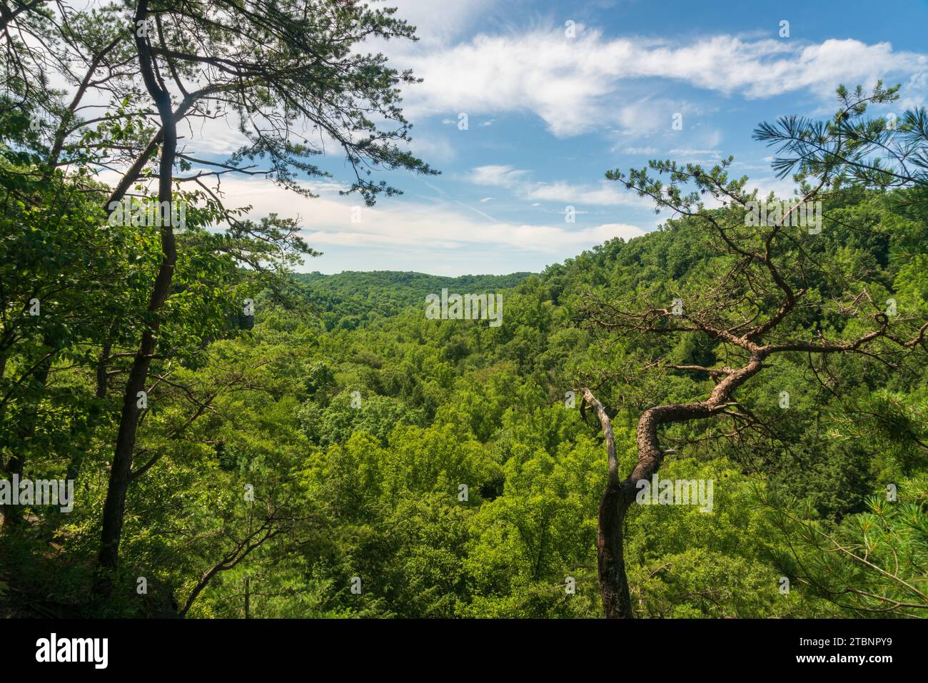 The Conkles Hollow State Nature Preserve in Ohio Stock Photo - Alamy