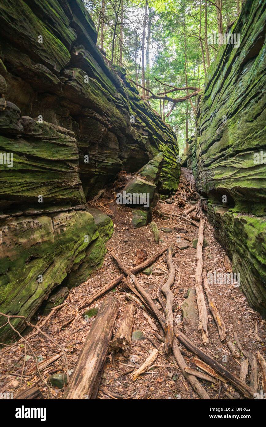 The Ledges at Cuyahoga Valley National Park in Ohio, USA Stock Photo ...