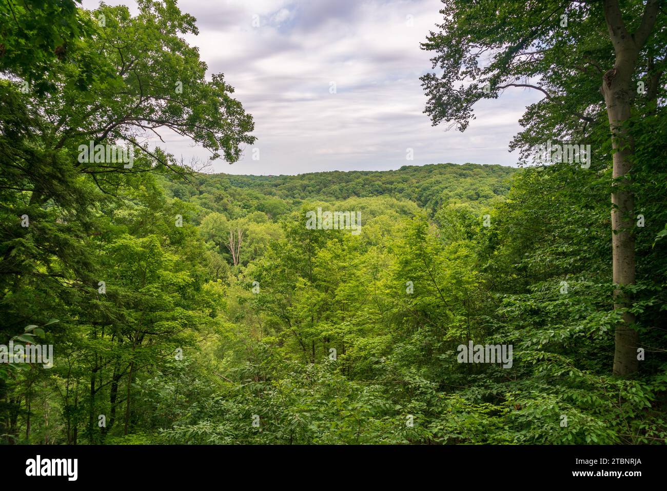 Overlook of the Forest at Cuyahoga Valley National Park in Ohio, USA ...
