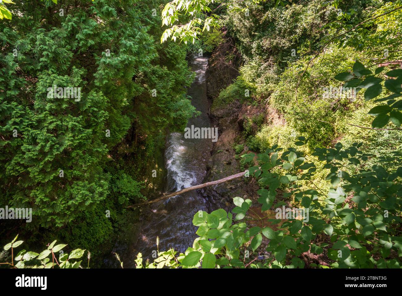 The Clifton Gorge State Nature Preserve in Ohio Stock Photo - Alamy