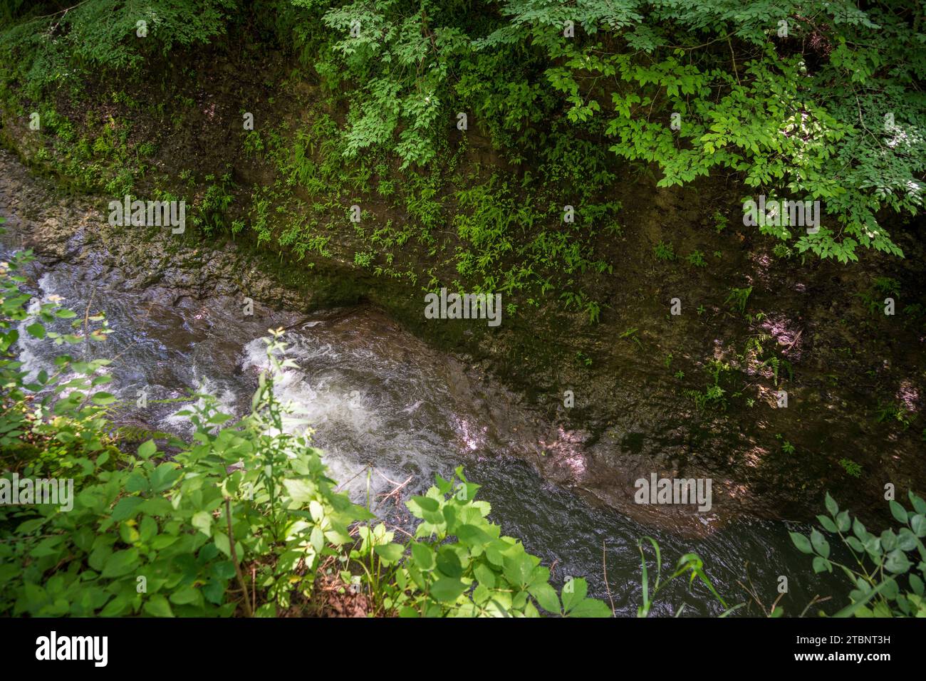 The Clifton Gorge State Nature Preserve in Ohio Stock Photo - Alamy