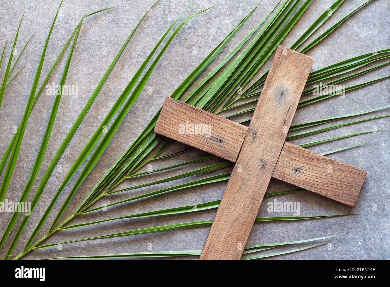 Easter wooden cross with palm branch, palm sunday religious concept ...