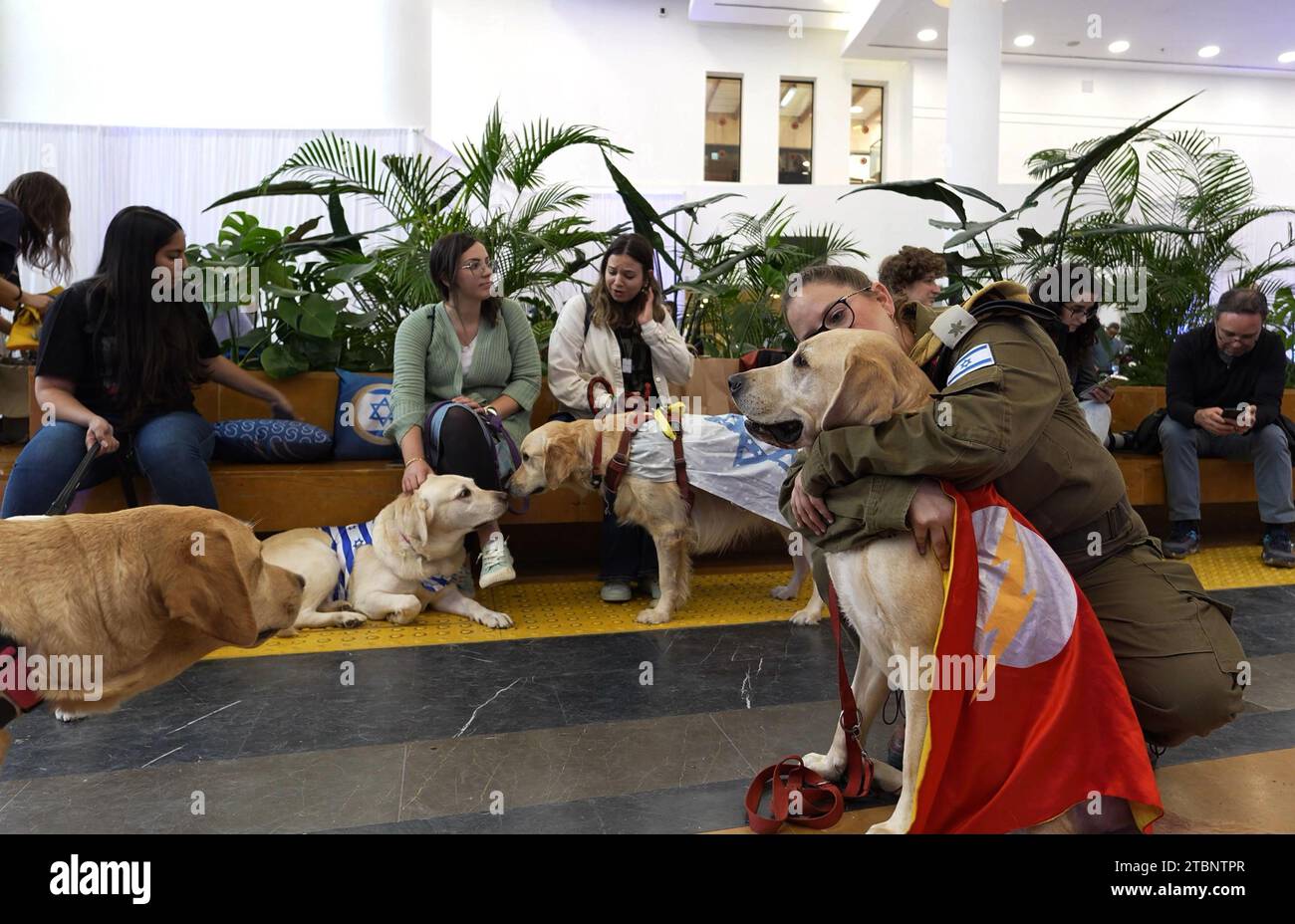 Therapy dogs with their trainers at Sheba Medical Center's Rehab ...
