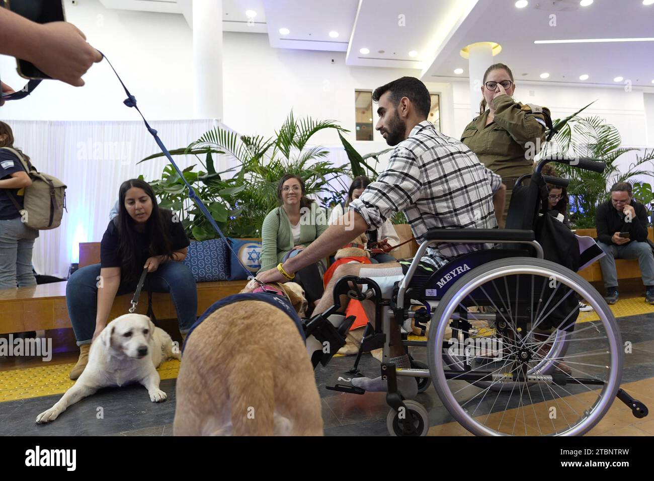 Pets in war hi-res stock photography and images - Alamy