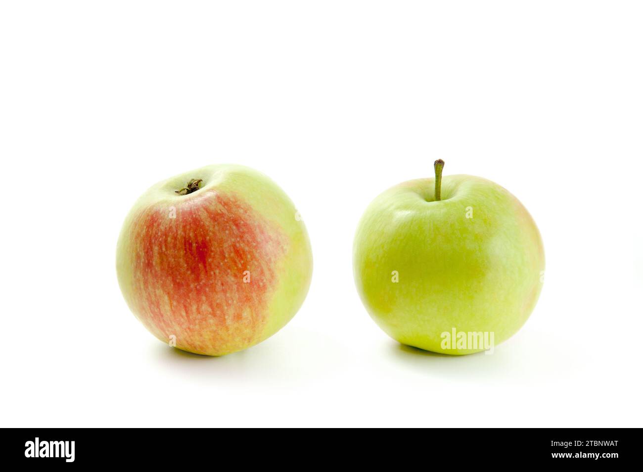 Two fresh green apples isolated on white background with clipping path ...