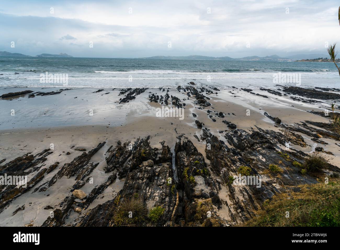 Playa de patos hi-res stock photography and images - Alamy