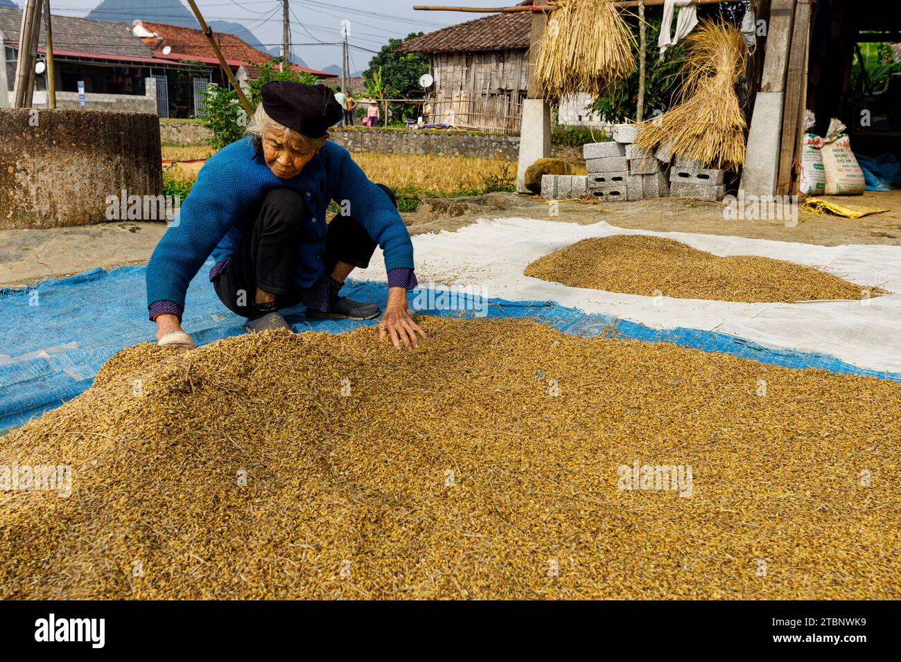 Woman in bac hi-res stock photography and images - Alamy