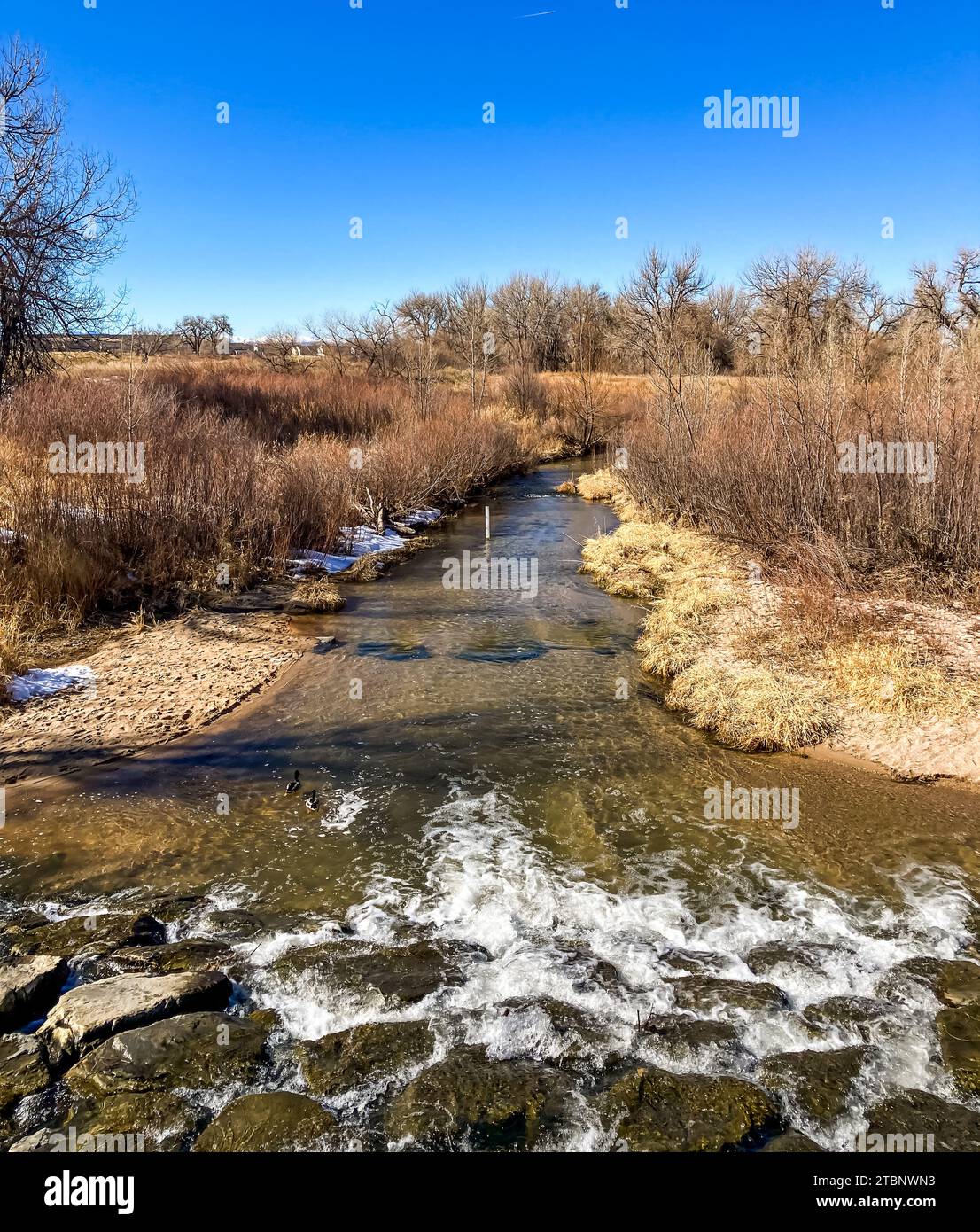 Field stream in cascade hi-res stock photography and images - Alamy