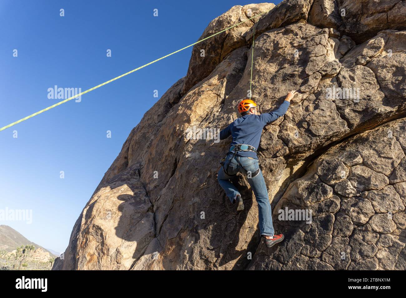 Joshua tree conqueror hi-res stock photography and images - Alamy