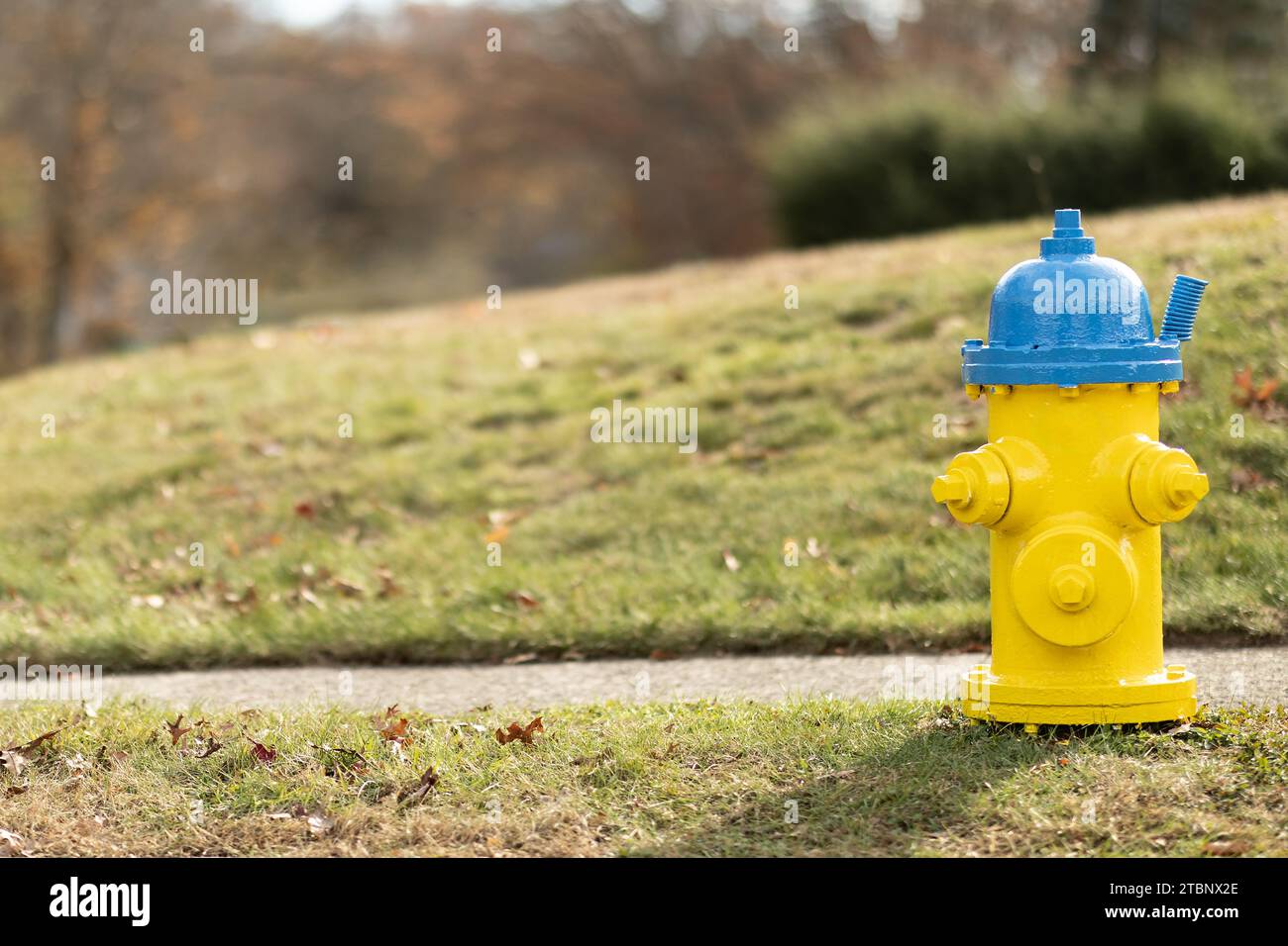 Yellow and Blue Fire hydrant on residential road Stock Photo - Alamy