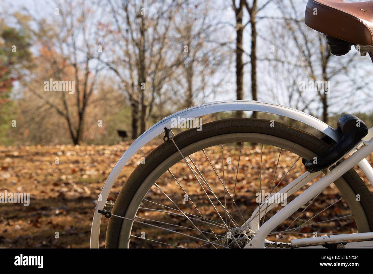 Closeup of Bicycle Wheel with Fall Backdrop Stock Photo - Alamy