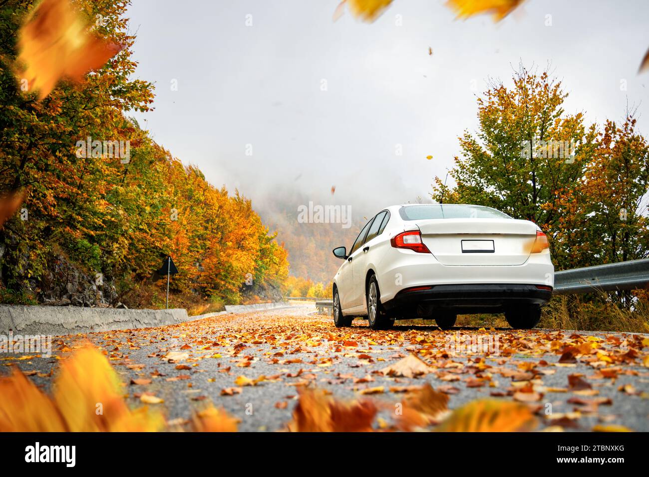 Autumn foliage leaves road hi-res stock photography and images - Alamy