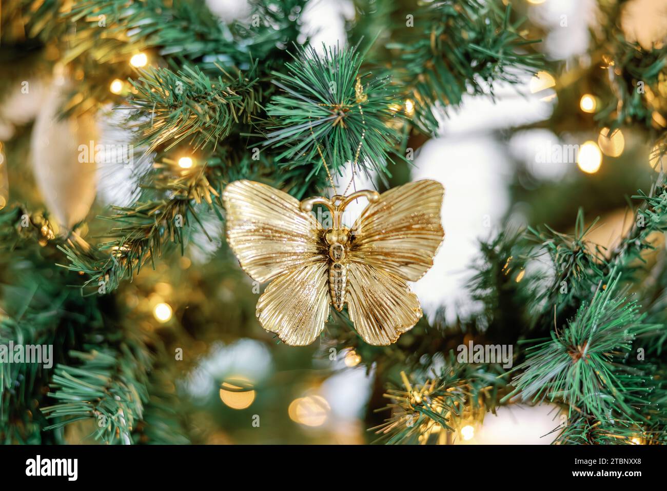 Gold butterfly hi-res stock photography and images - Alamy