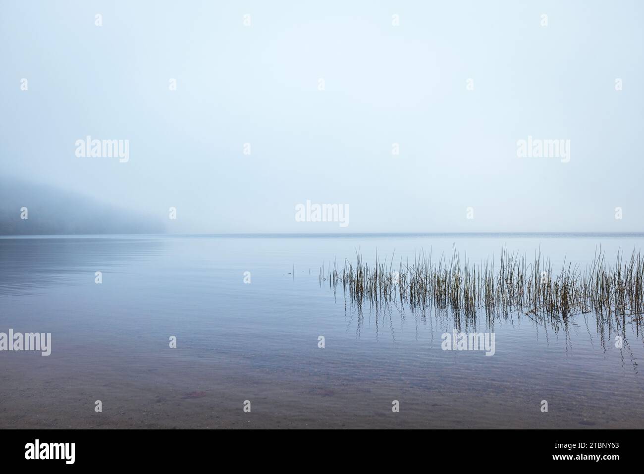 Grassy shoreline calm water hi-res stock photography and images - Alamy