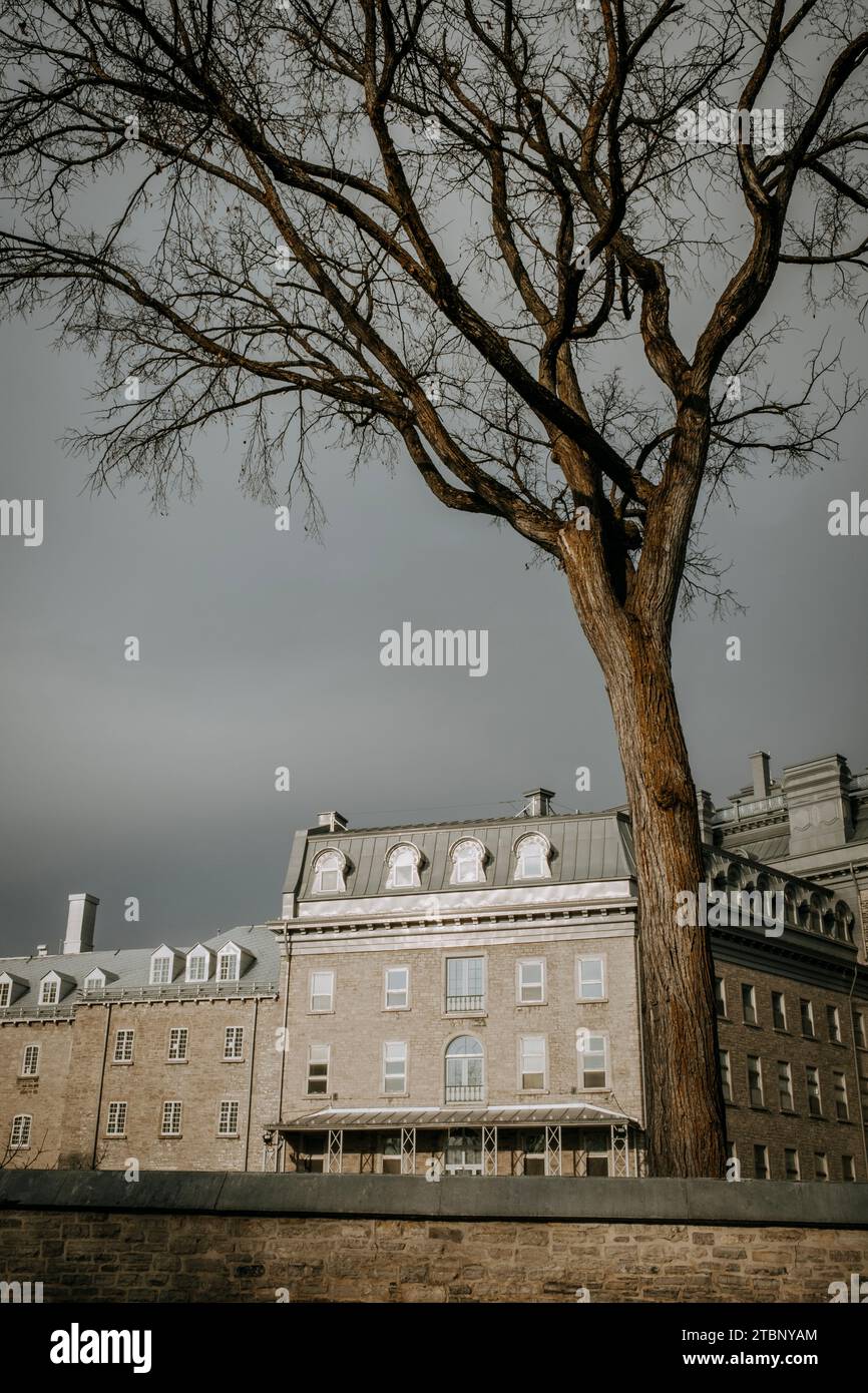 Old buildings quebec city hi-res stock photography and images - Alamy