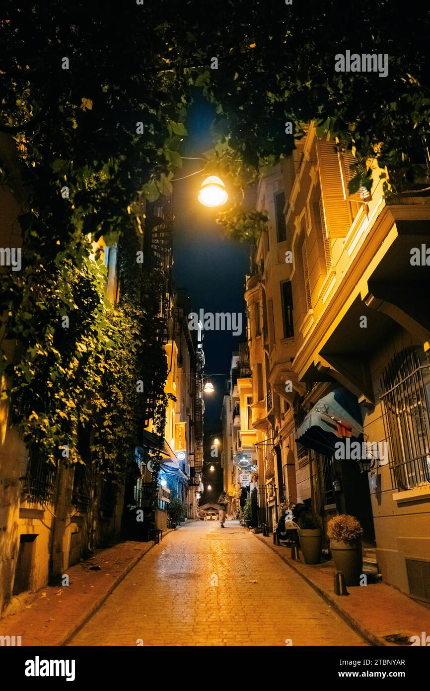 Central narrow street in Istanbul, evening and lights are on Stock ...