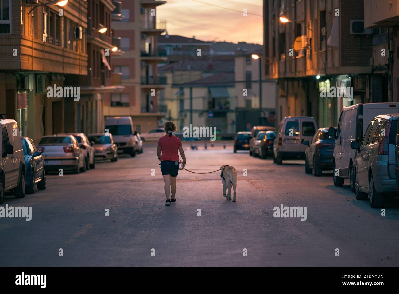 Woman dog in silhouette hi-res stock photography and images - Alamy