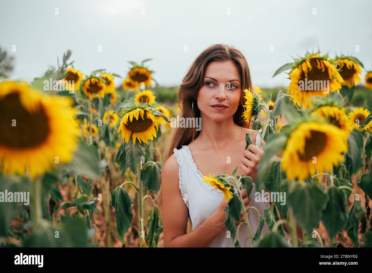 Scene of young blonde girl in an idyllic landscape full of flowers ...