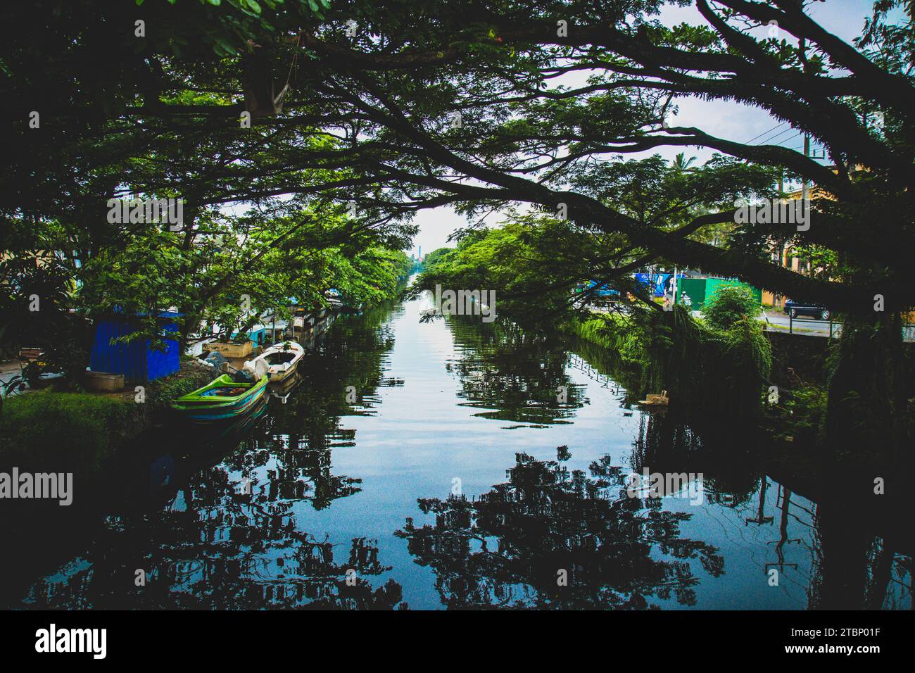Beautiful scenes of fishermen fishing in their boats in Watala, Colombo ...