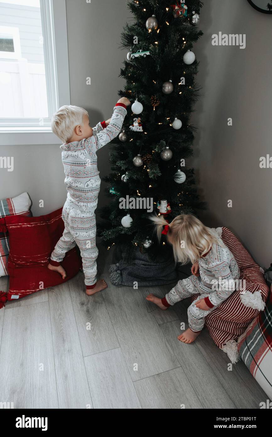They decorate the tree hi-res stock photography and images - Alamy
