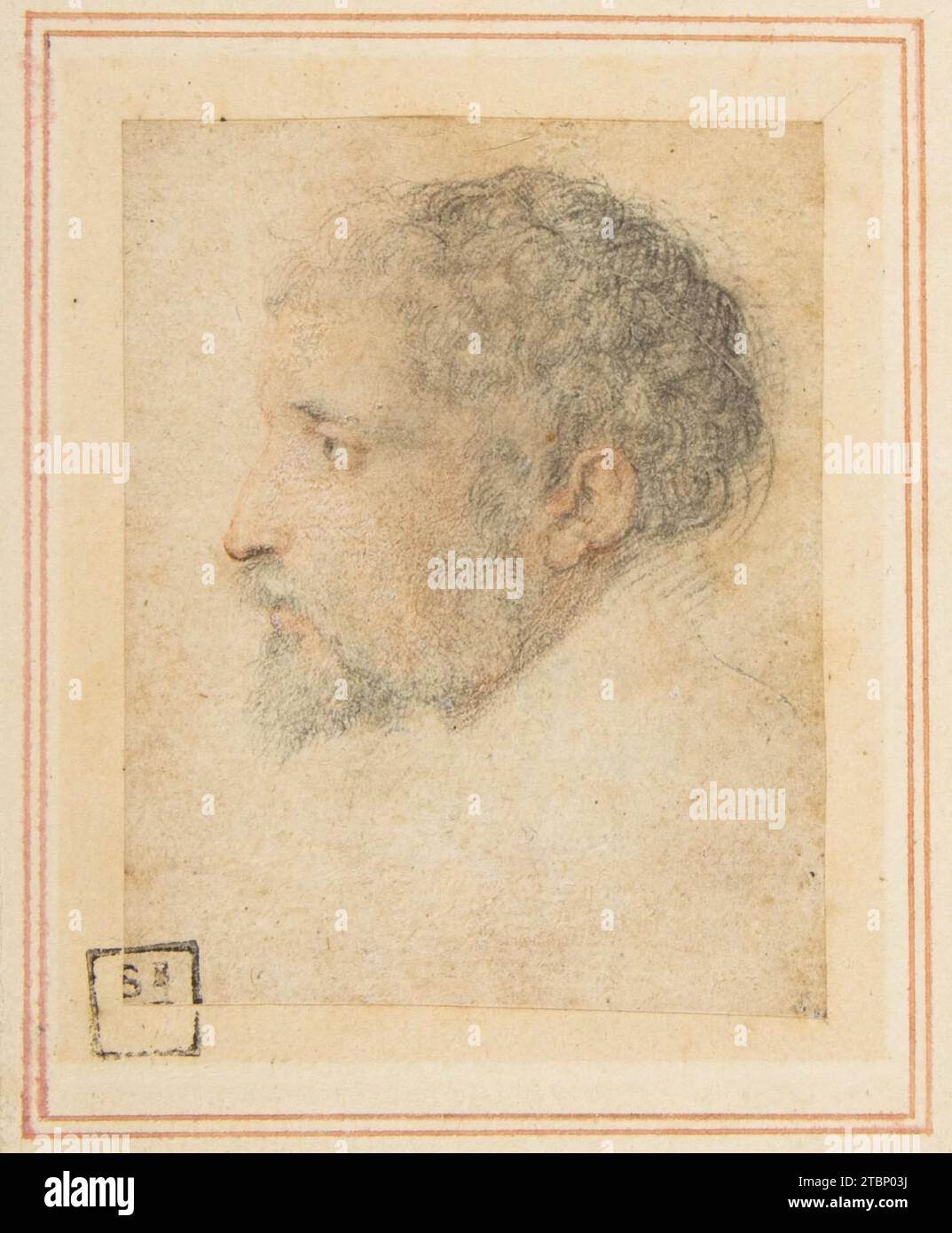 Head of man in Profile to Left 1963 by Parmigianino (Girolamo Francesco ...