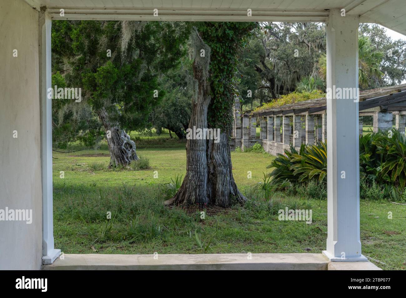 Dungeness Home, Cumberland Island, Georgia Stock Photo - Alamy