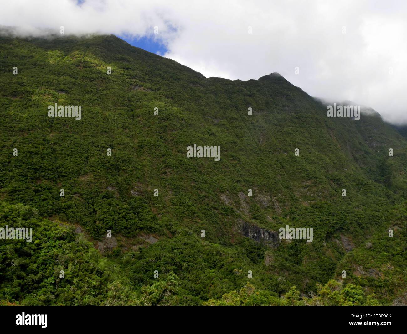 Vertical cliffs covered by tropical vegetation. Mafate circus, volcanic ...