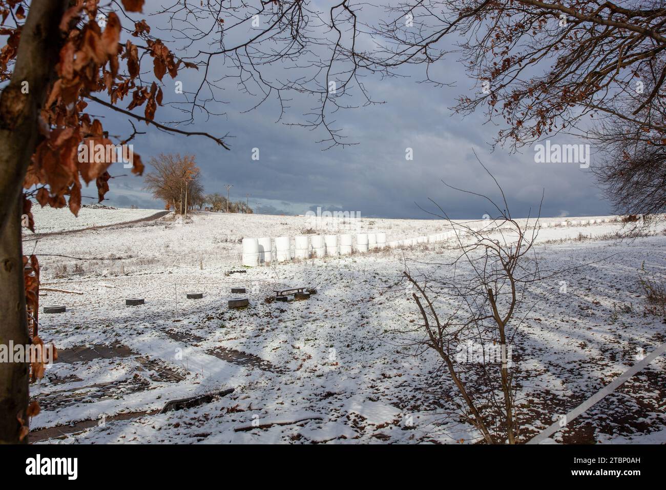 Snow-covered field seen from the edge of the forest Stock Photo - Alamy