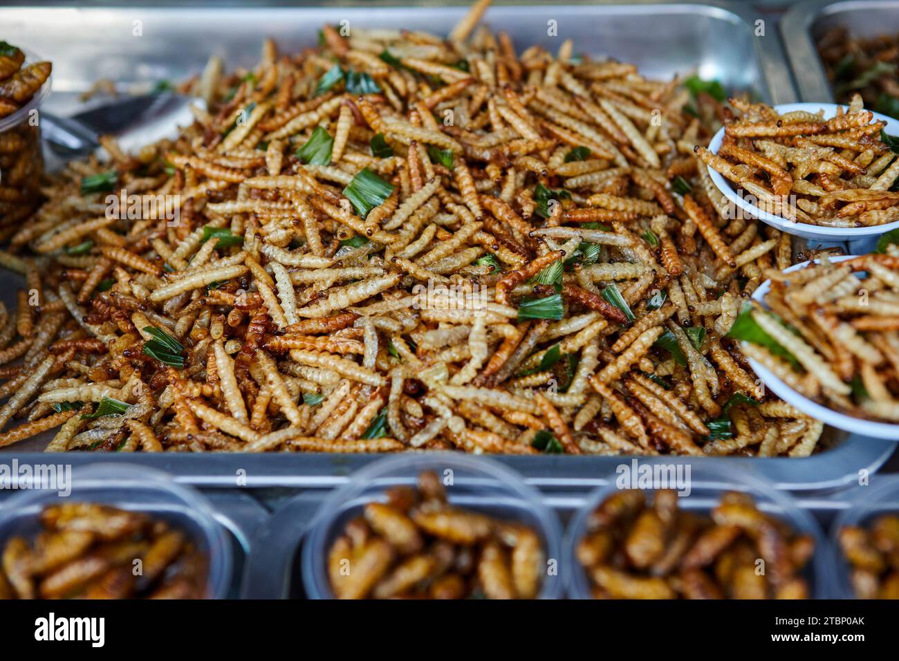 Deep fried bamboo worms at street food Stock Photo - Alamy
