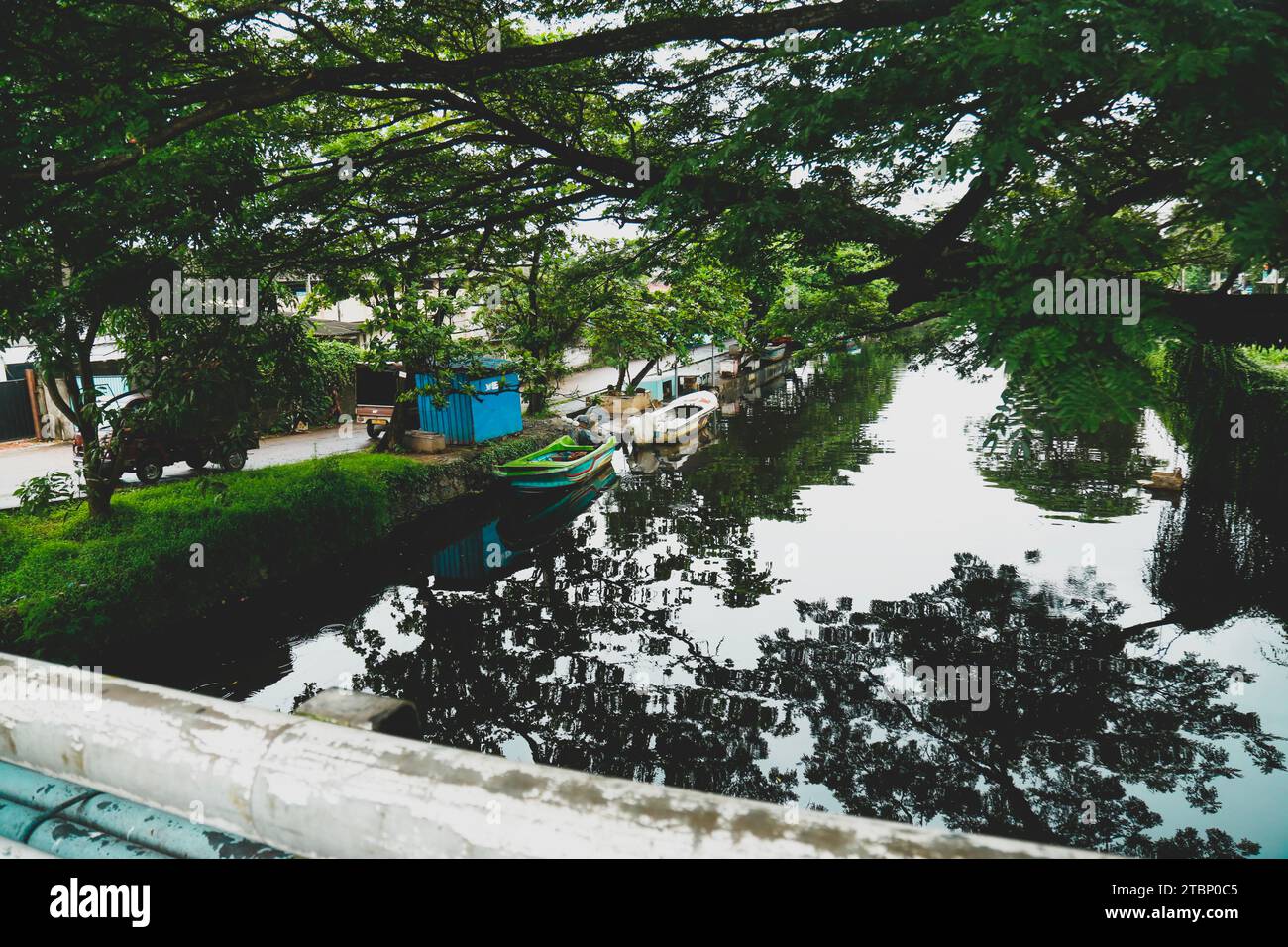 Beautiful scenes of fishermen fishing in their boats in Watala, Colombo ...