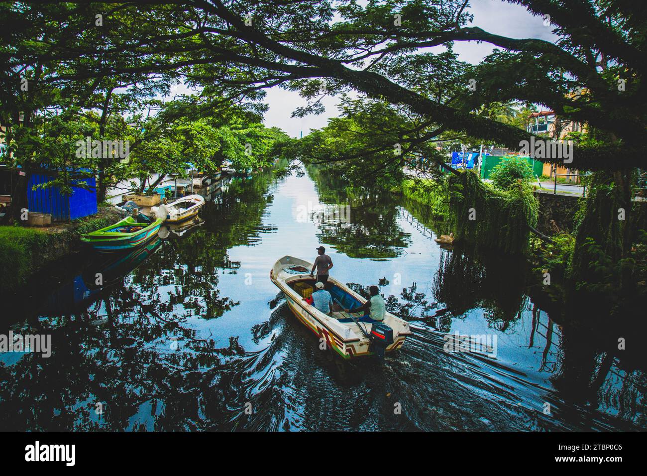 Beautiful scenes of fishermen fishing in their boats in Watala, Colombo ...