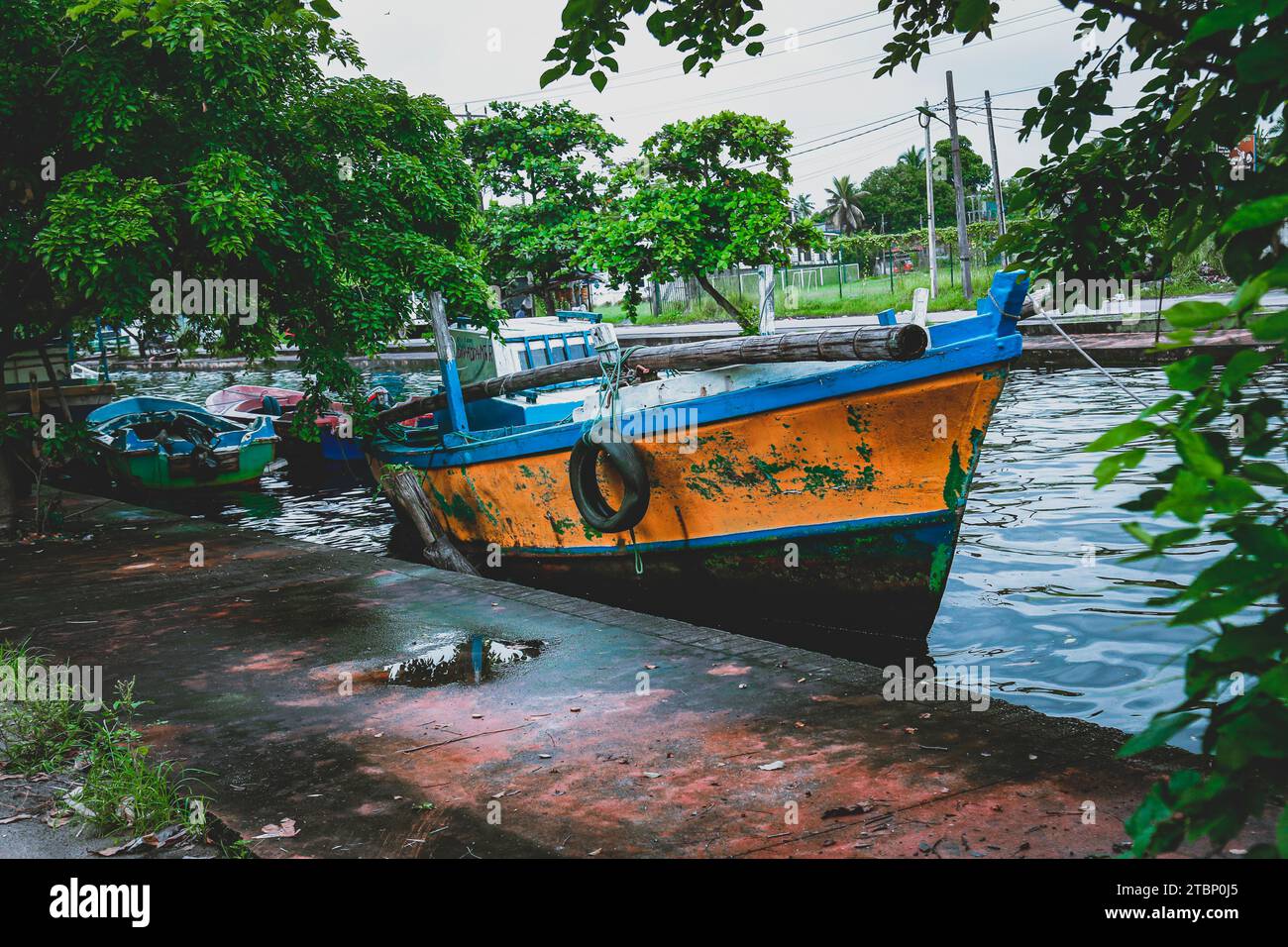 Beautiful scenes of fishermen fishing in their boats in Watala, Colombo ...
