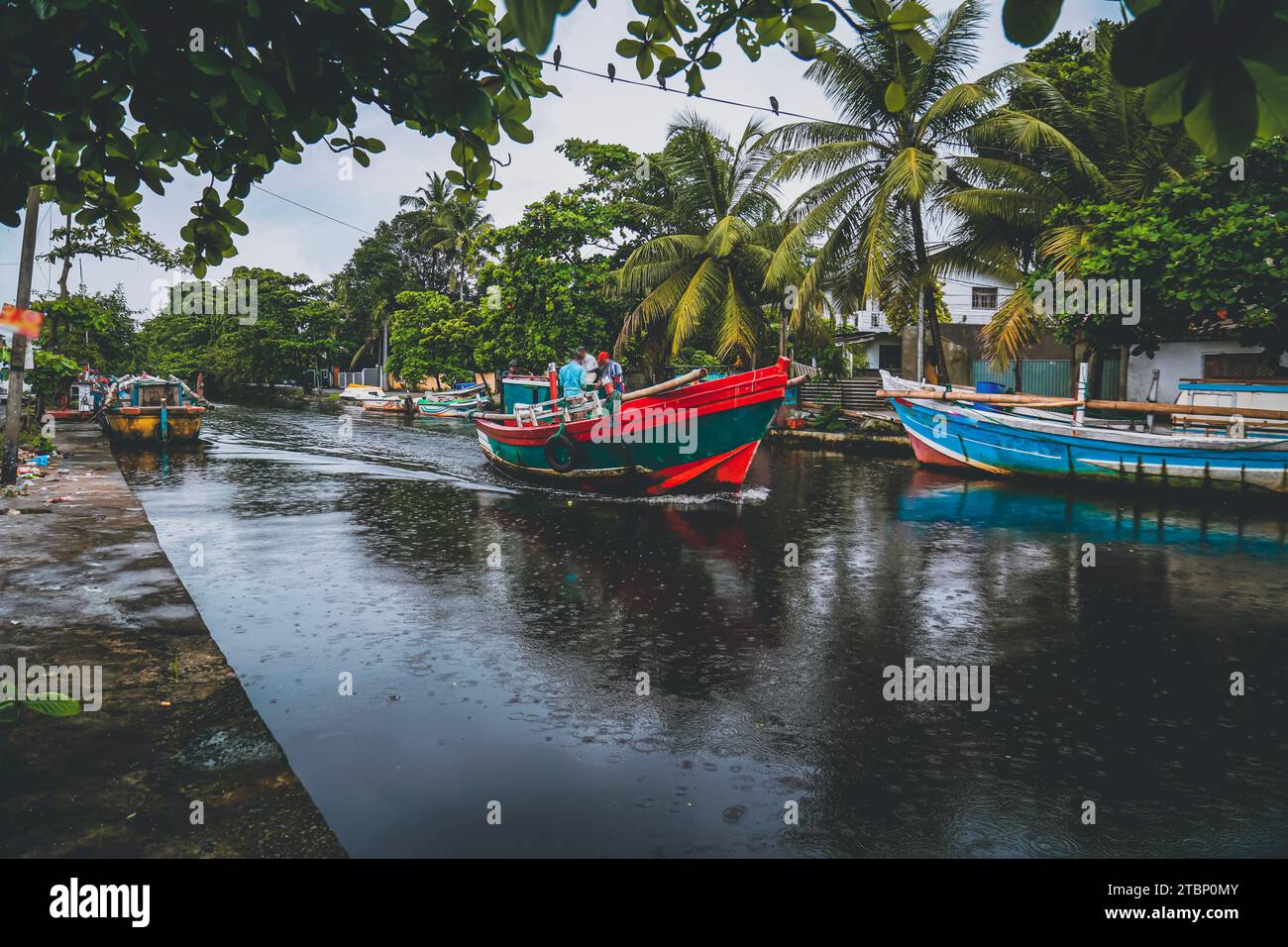Beautiful scenes of fishermen fishing in their boats in Watala, Colombo ...