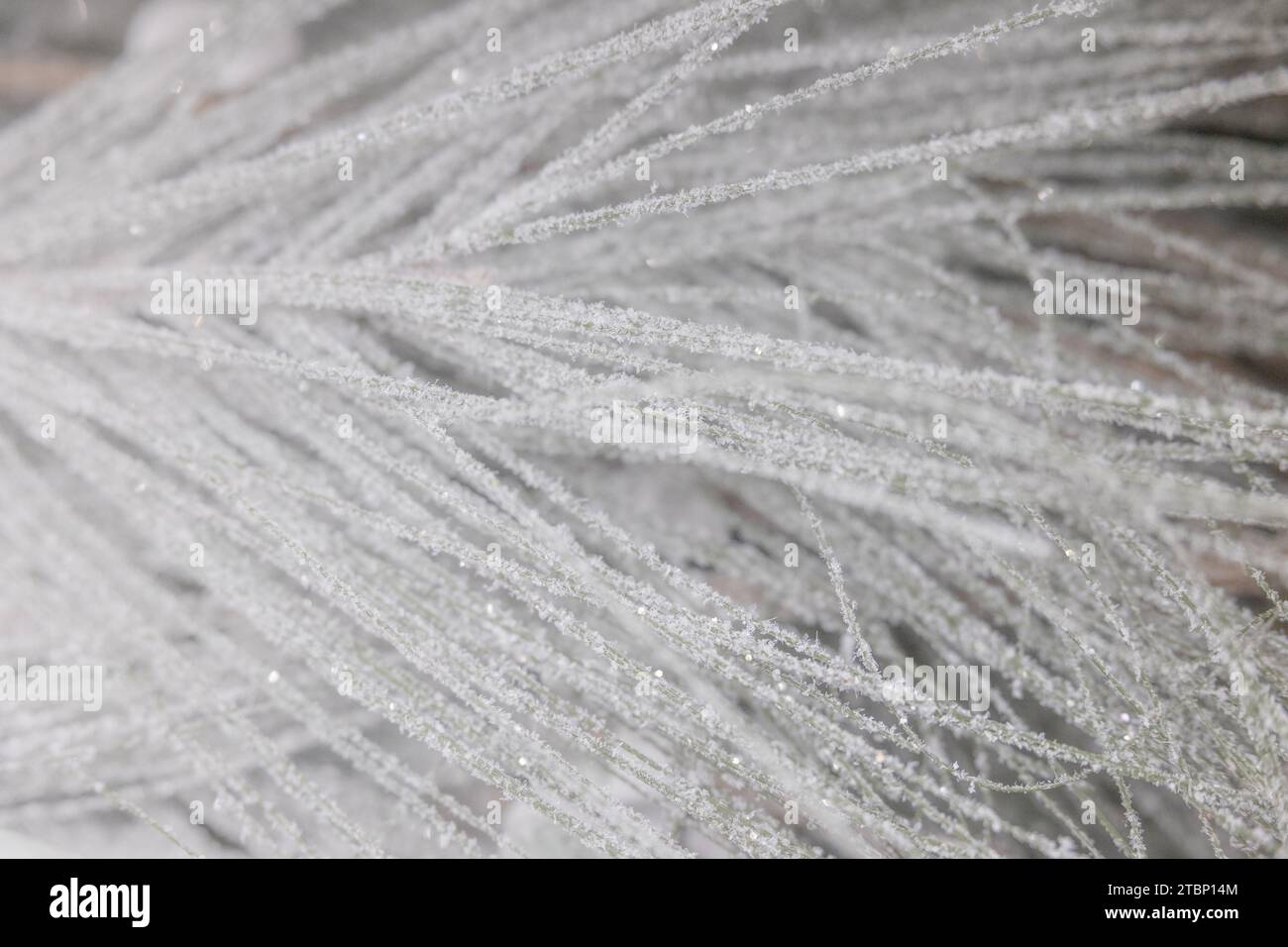 Winter White Background Christmas Decor Silver Branches Holidays Stock ...