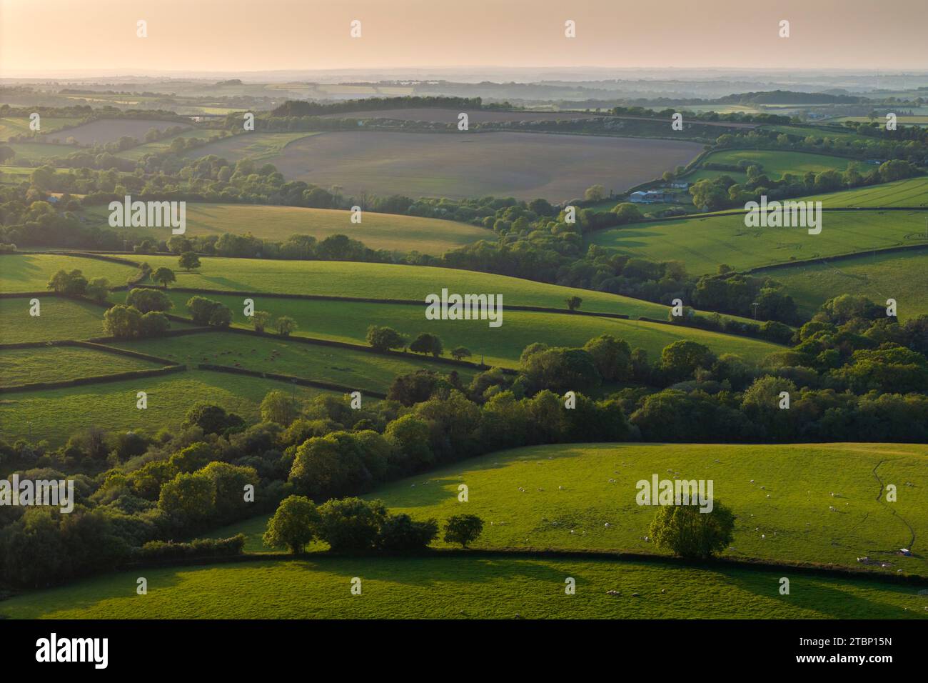 Beautiful rolling countryside in Dartmoor National Park, Devon, England ...