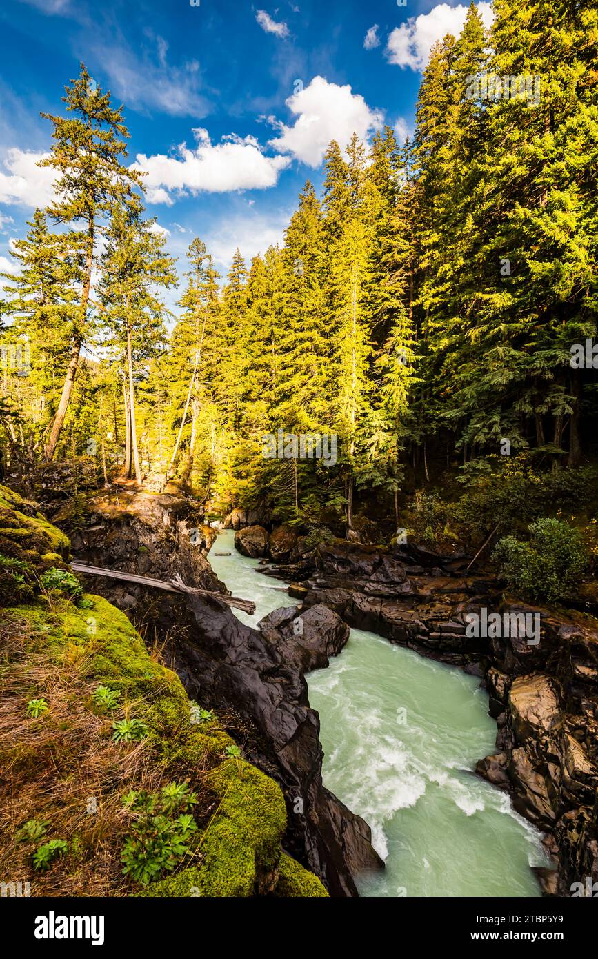 The Green River below the Lower Falls at Nairn Falls, British Columbia ...