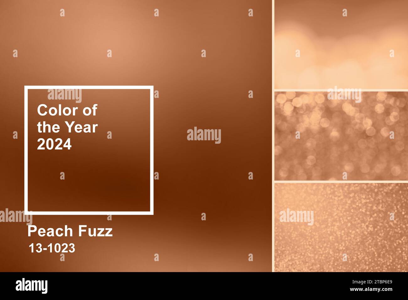 Peach fuzz is color of year 2024. Multiple textures in collage toned in ...