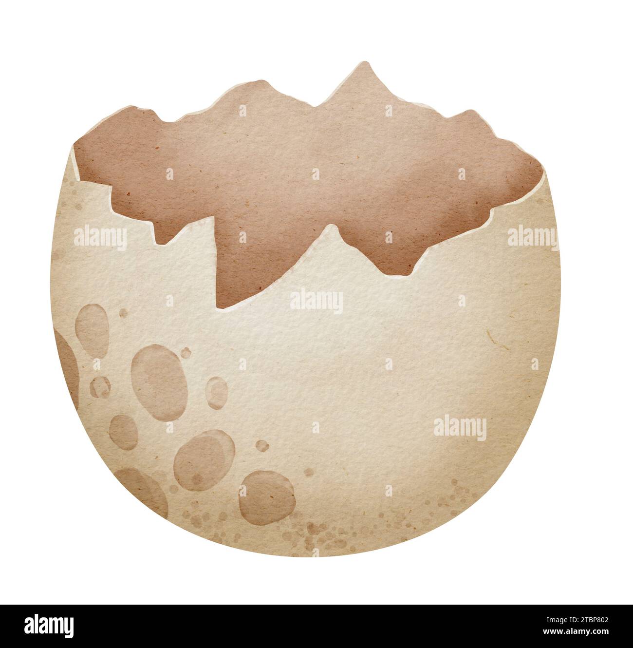 Broken dinosaur Egg Watercolor illustration. Hand drawn of open ...