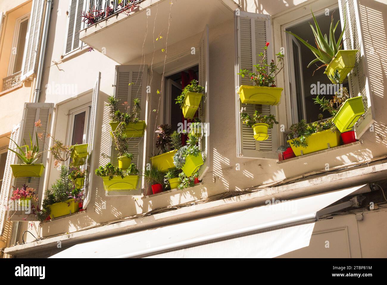 Apartment flat in Cannes, France, with a lot of window box flowers and ...