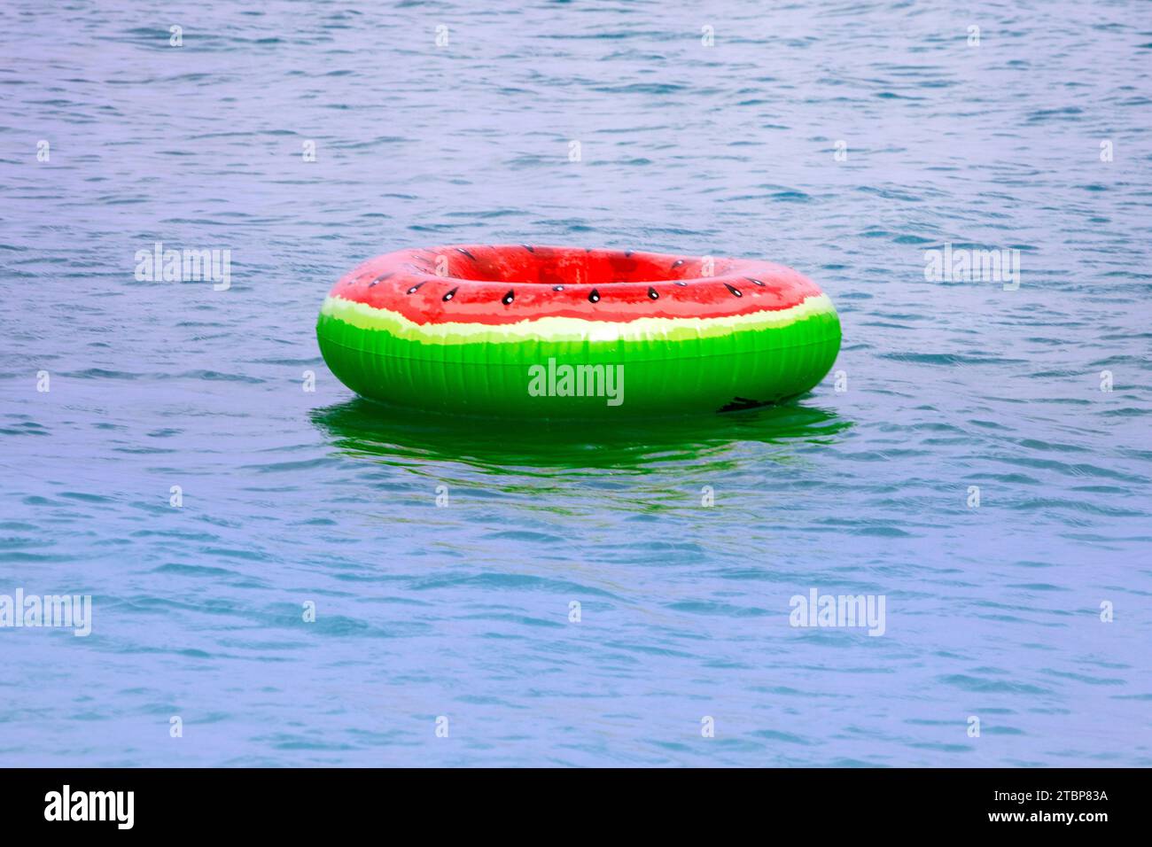swimming ring on the surface of the water in the sea. Marine family ...